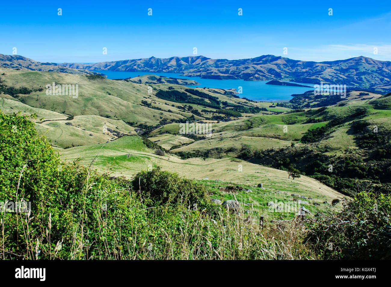 Beautiful scenery around Akaroa harbour, Banks Peninsula, South Island ...