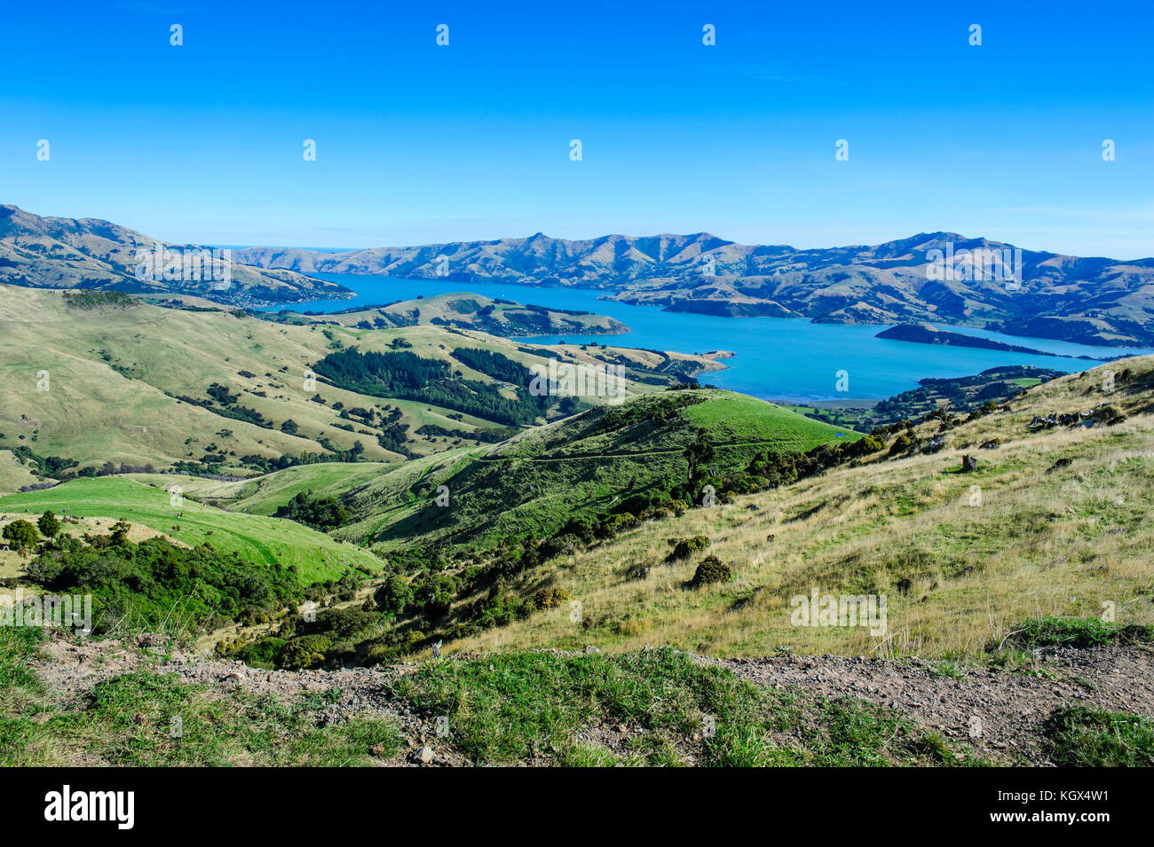 Beautiful scenery around Akaroa harbour, Banks Peninsula, South Island ...