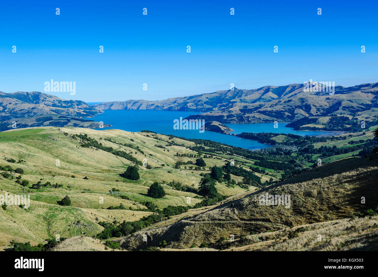 Beautiful scenery around Akaroa harbour, Banks Peninsula, South Island ...
