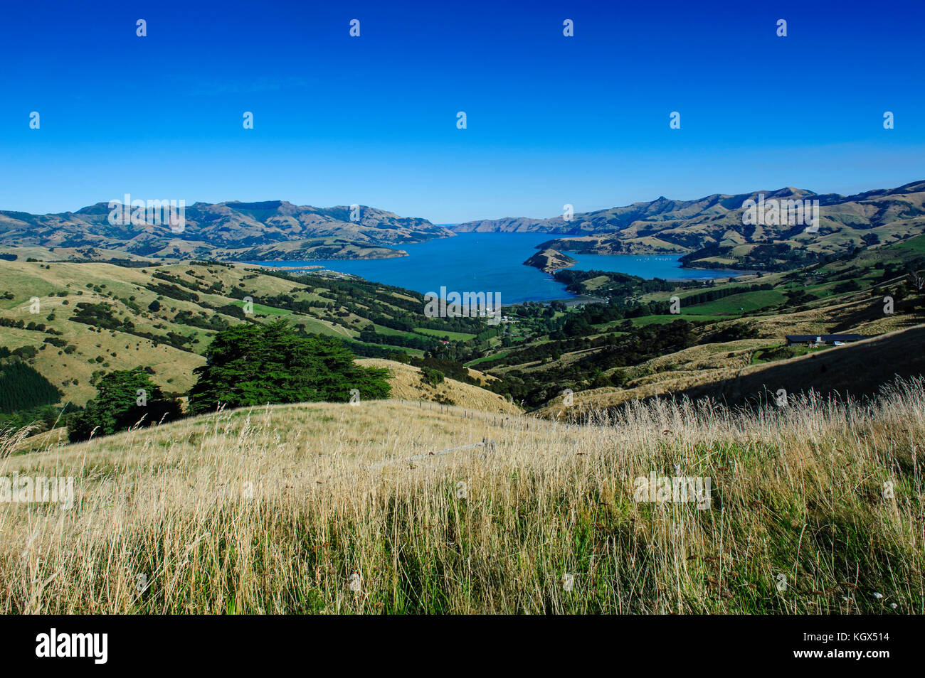 Beautiful scenery around Akaroa harbour, Banks Peninsula, South Island ...