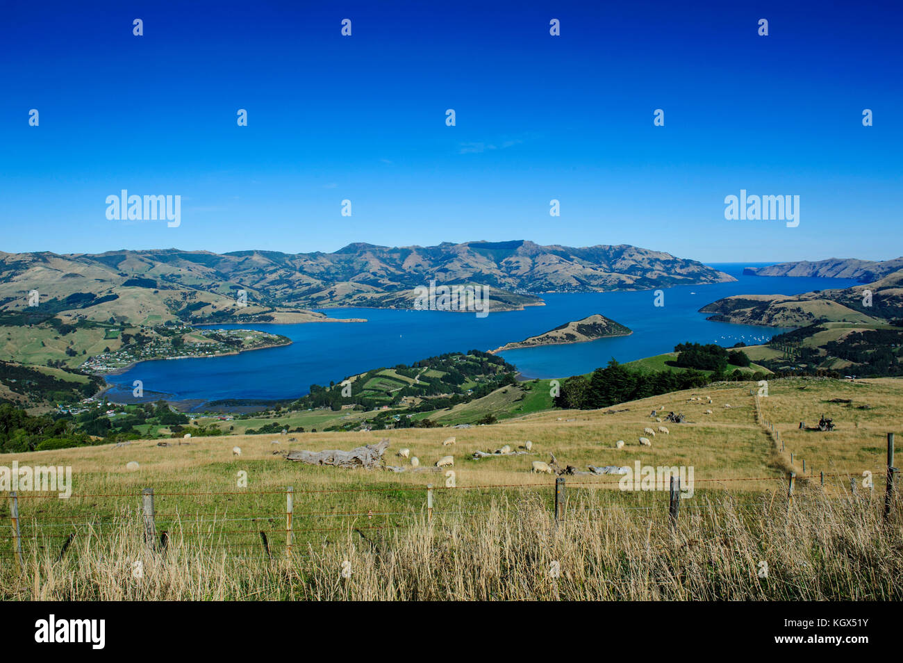 Beautiful scenery around Akaroa harbour, Banks Peninsula, South Island ...