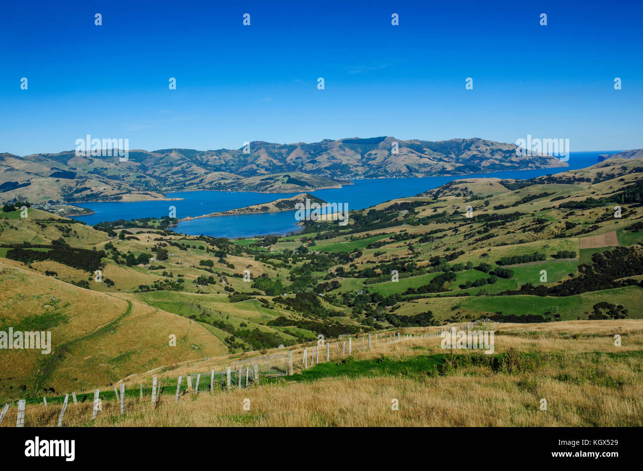Beautiful scenery around Akaroa harbour, Banks Peninsula, South Island ...