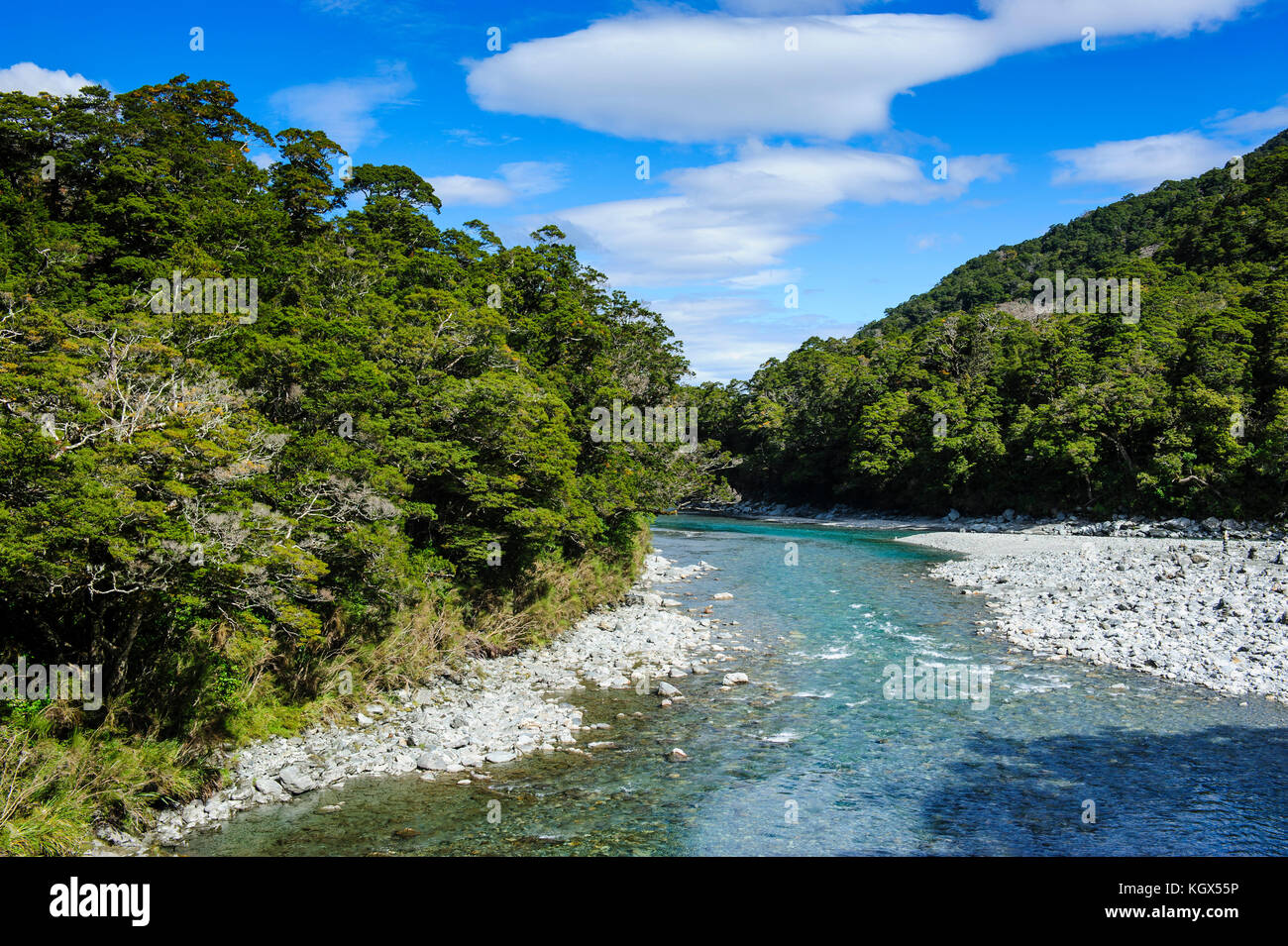 Beautiful Haast river, Haast Pass, South Island, New Zealand Stock ...