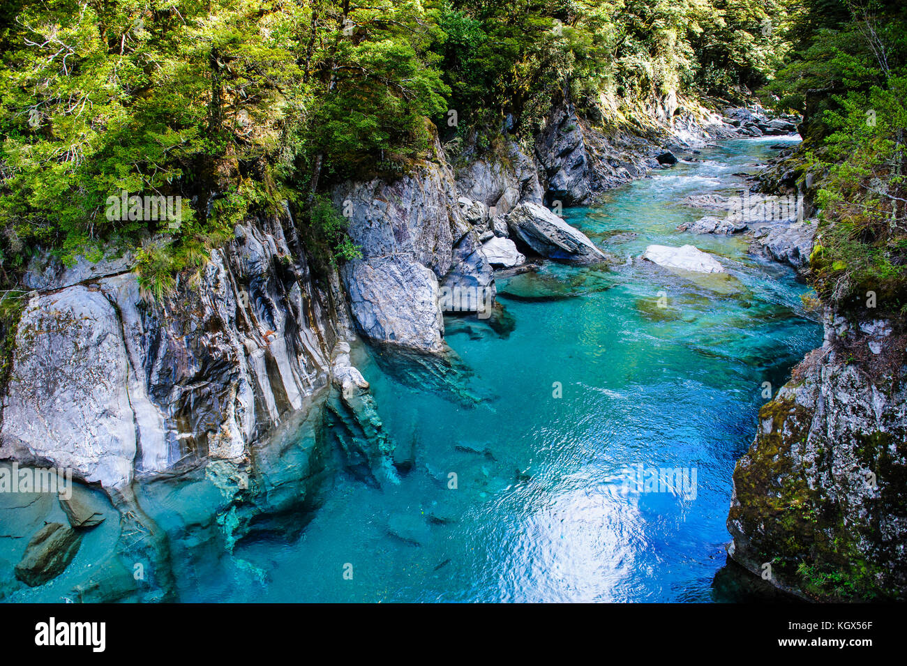 The stunning Blue Pools, Haast Pass, South Island, New Zealand Stock ...