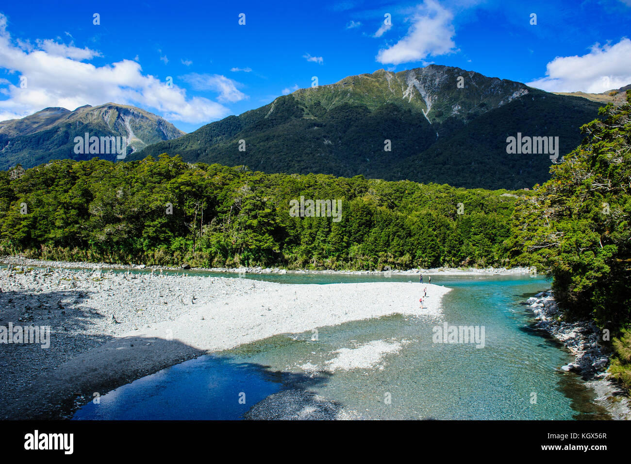 Beautiful Haast river, Haast Pass, South Island, New Zealand Stock ...