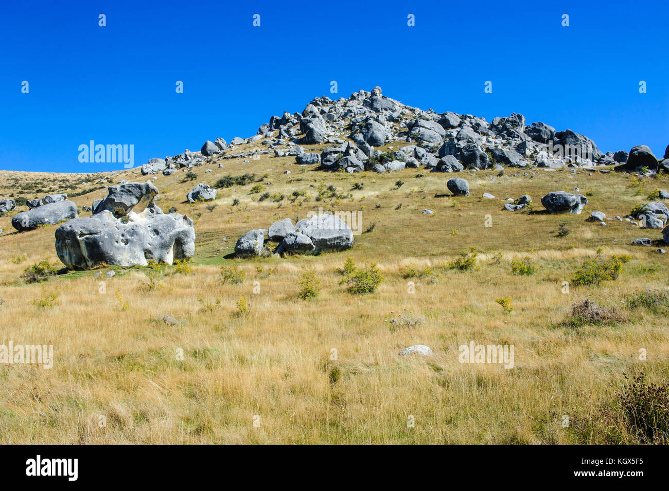 Limestone outcrops on Castle Hill, South Island, New Zealand Stock ...