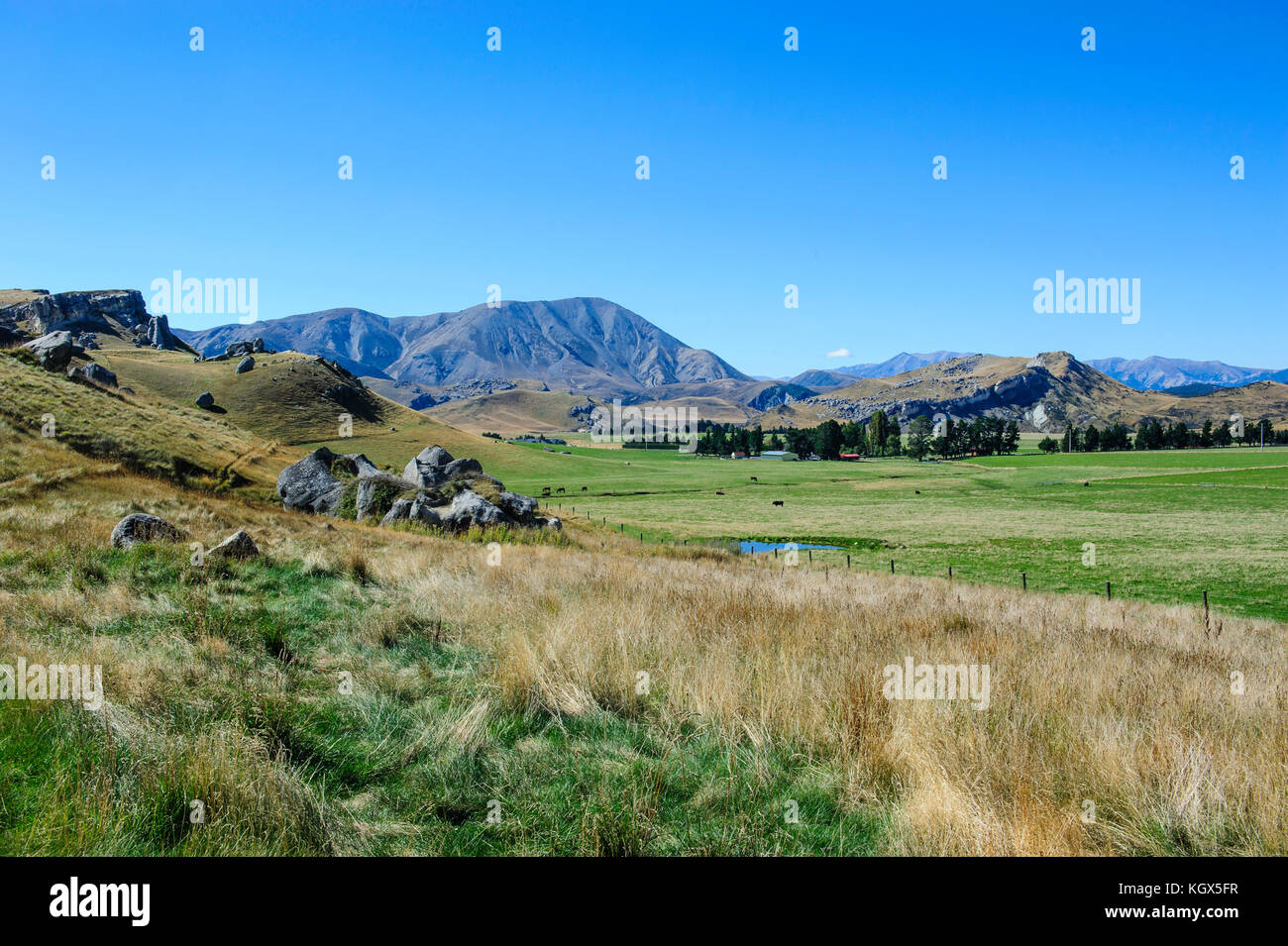Limestone outcrops canterbury hi-res stock photography and images - Alamy