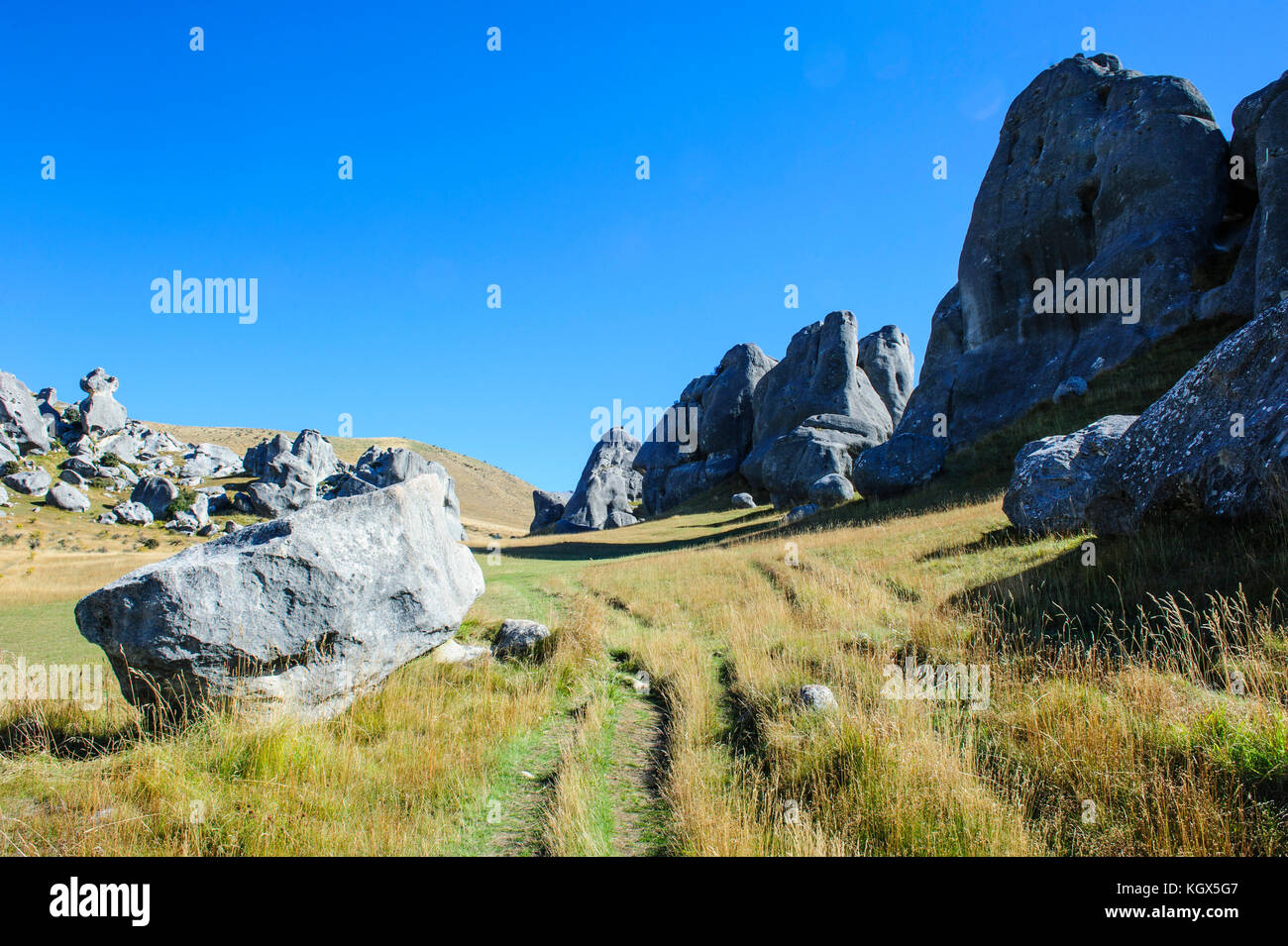 Limestone outcrops on Castle Hill, South Island, New Zealand Stock ...
