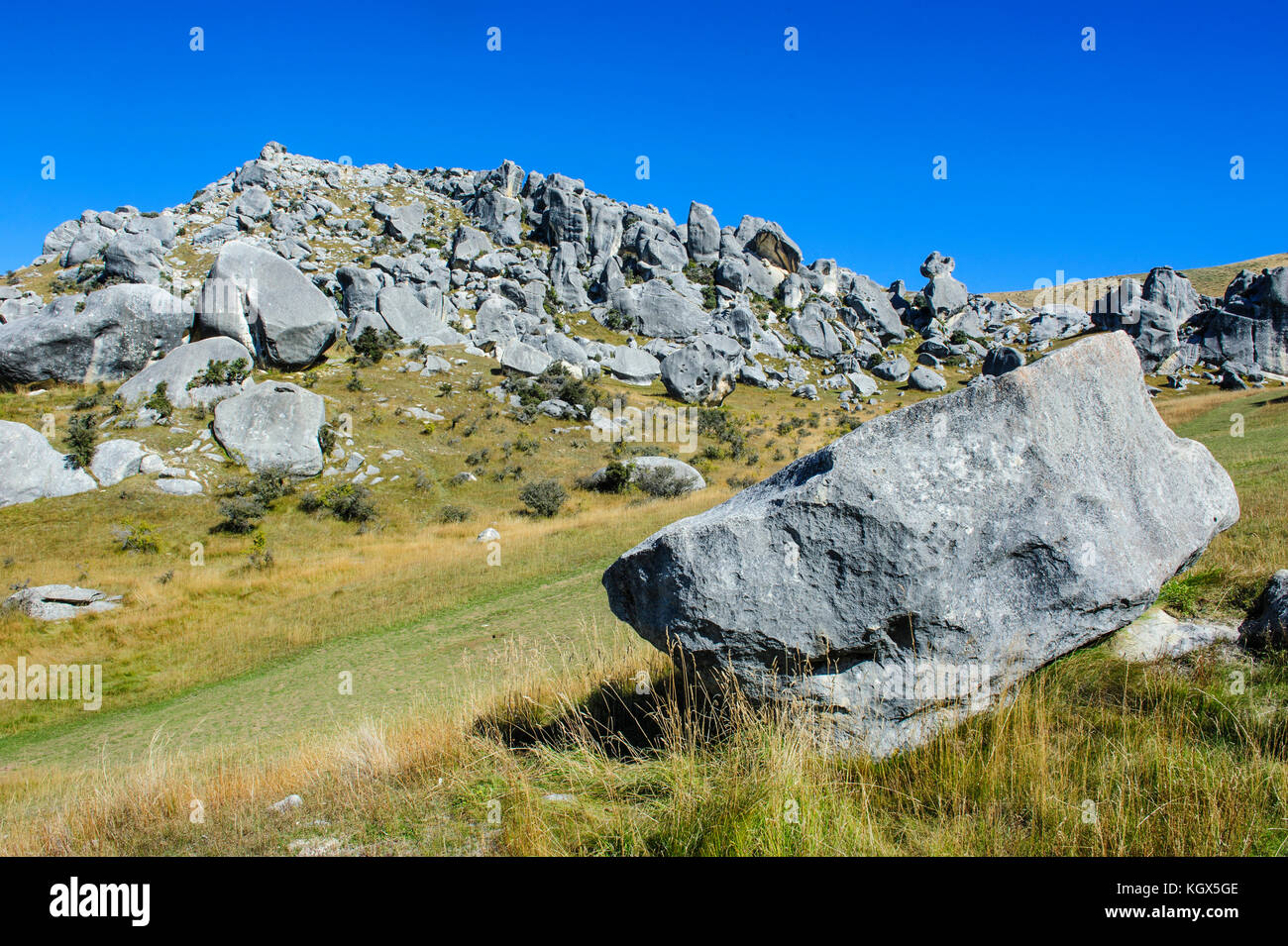Limestone outcrops on Castle Hill, South Island, New Zealand Stock ...
