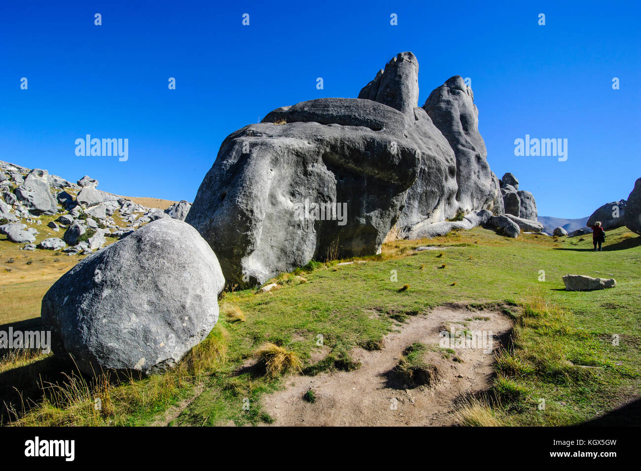 Limestone outcrops on Castle Hill, South Island, New Zealand Stock ...