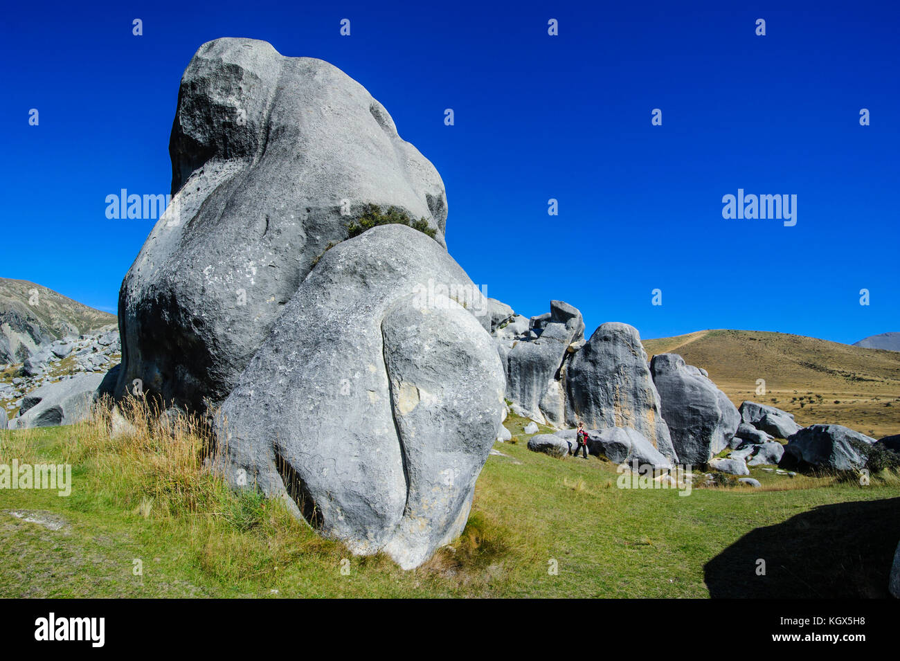 Limestone outcrops on Castle Hill, South Island, New Zealand Stock ...