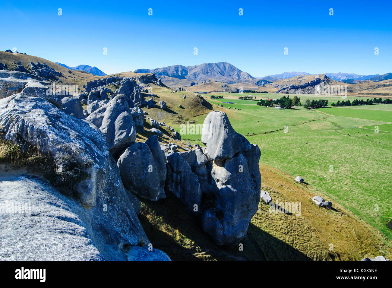 Limestone outcrops on Castle Hill, South Island, New Zealand Stock ...