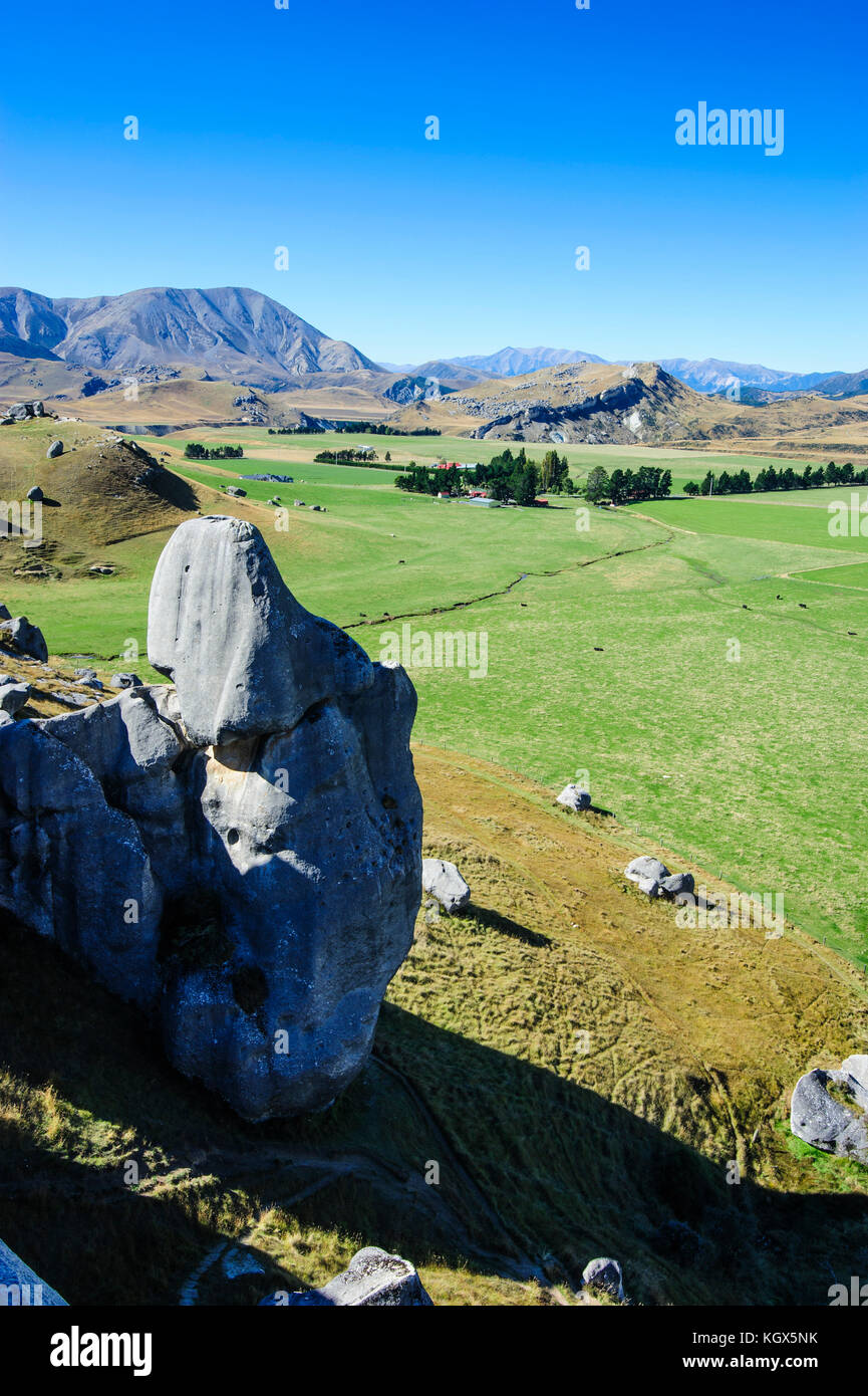 Limestone outcrops on Castle Hill, South Island, New Zealand Stock ...