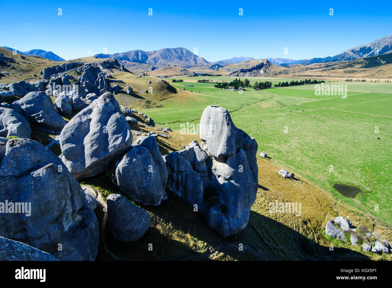 Limestone outcrops on Castle Hill, South Island, New Zealand Stock ...