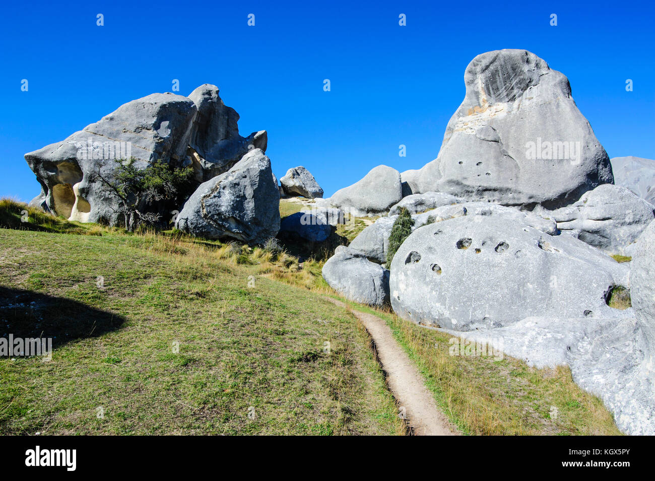 Limestone outcrops on Castle Hill, South Island, New Zealand Stock ...