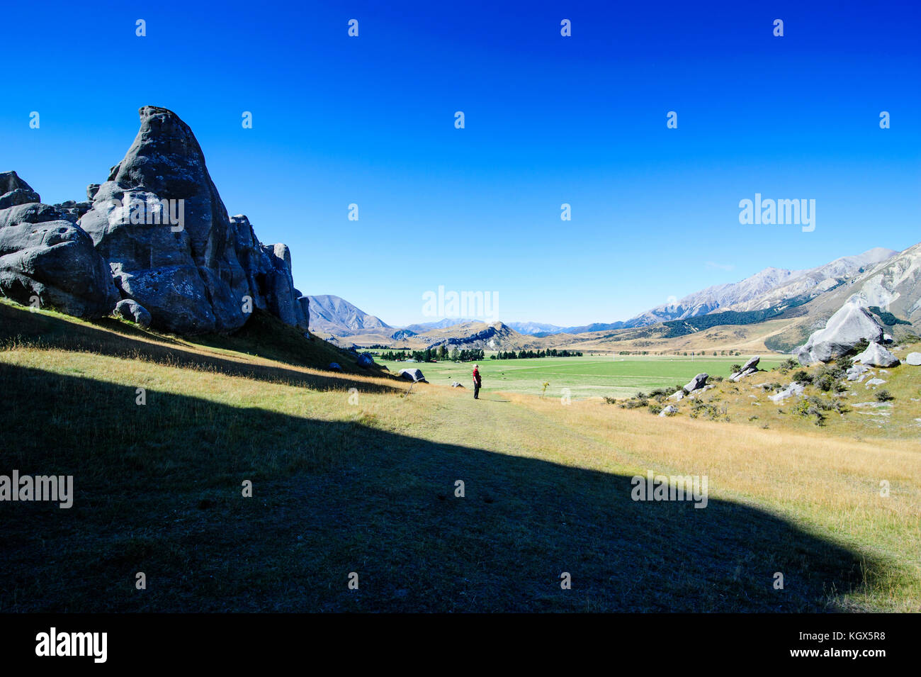 Limestone outcrops on Castle Hill, South Island, New Zealand Stock ...
