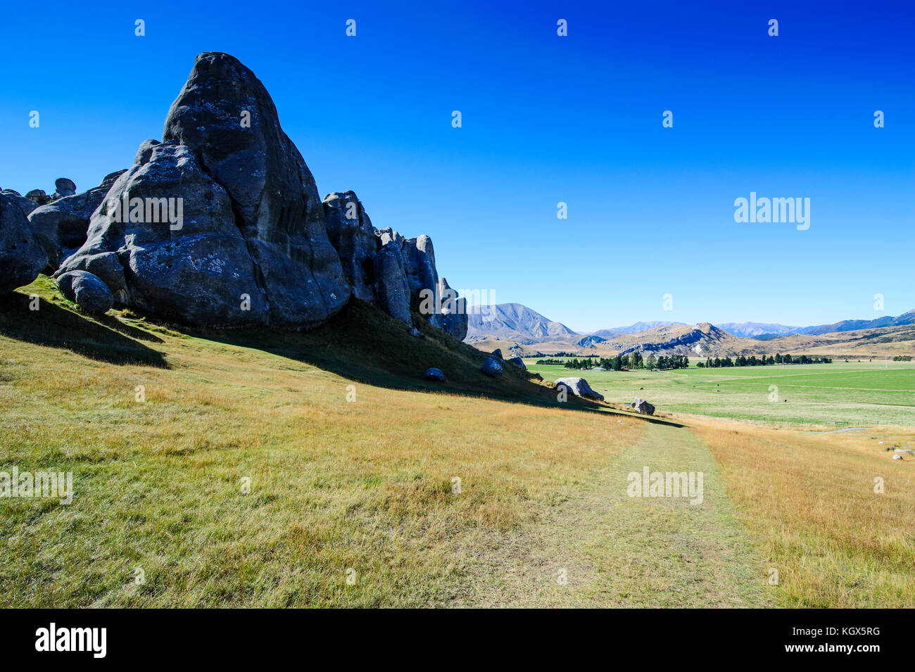 Limestone outcrops on Castle Hill, South Island, New Zealand Stock ...