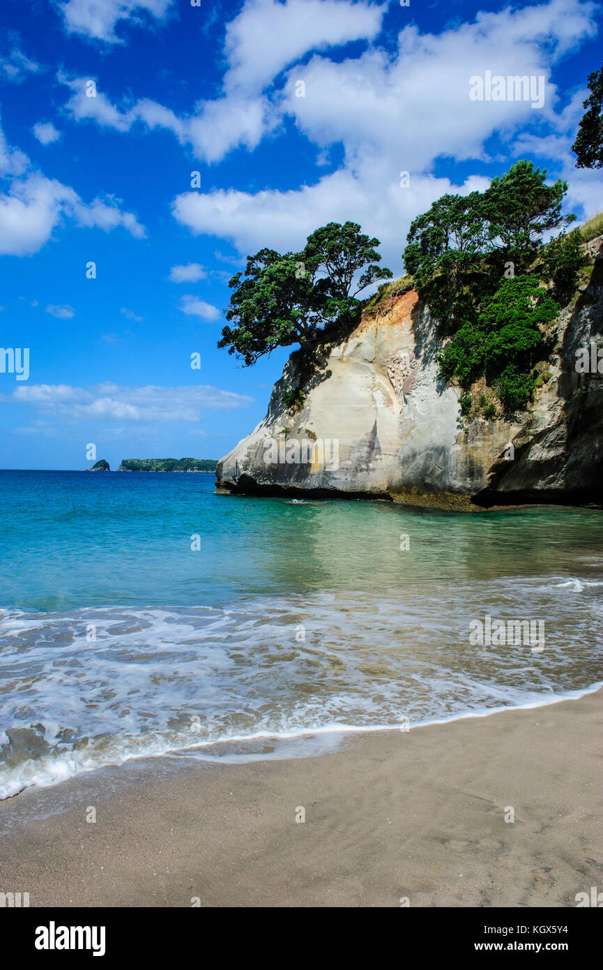 White sand beach on Cathedral Cove, Coromandel, North Island, New ...