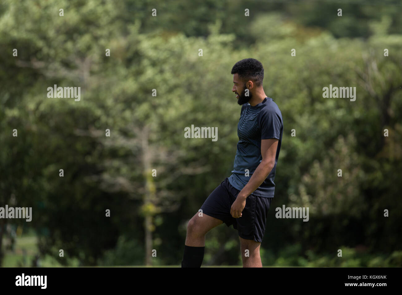 Break ground hi-res stock photography and images - Alamy