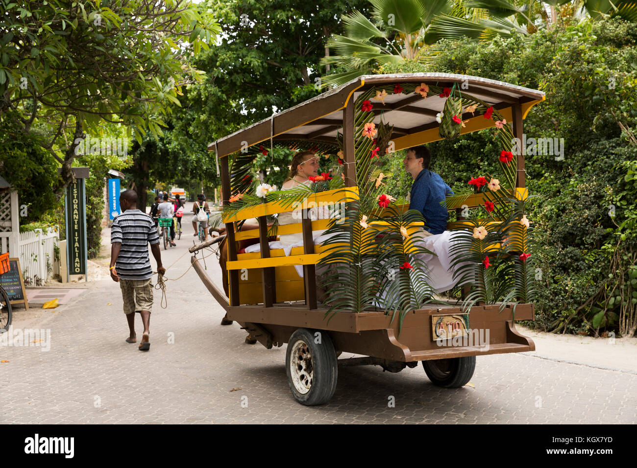 The Seychelles, La Digue, La Passe, traditional transport, married ...