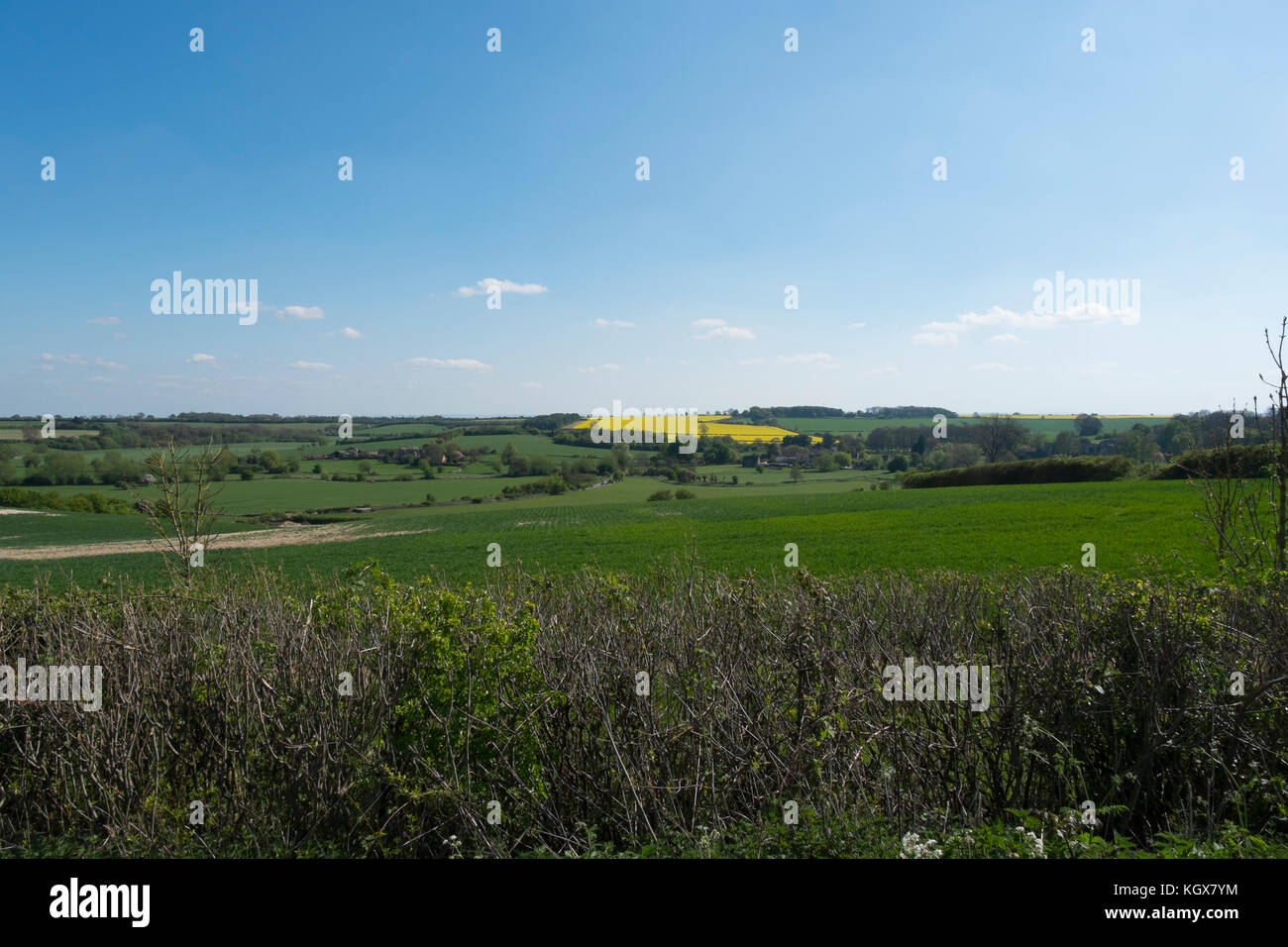 Countryside along Swin Lane between Swinbrook and Asthall, Oxfordshire ...