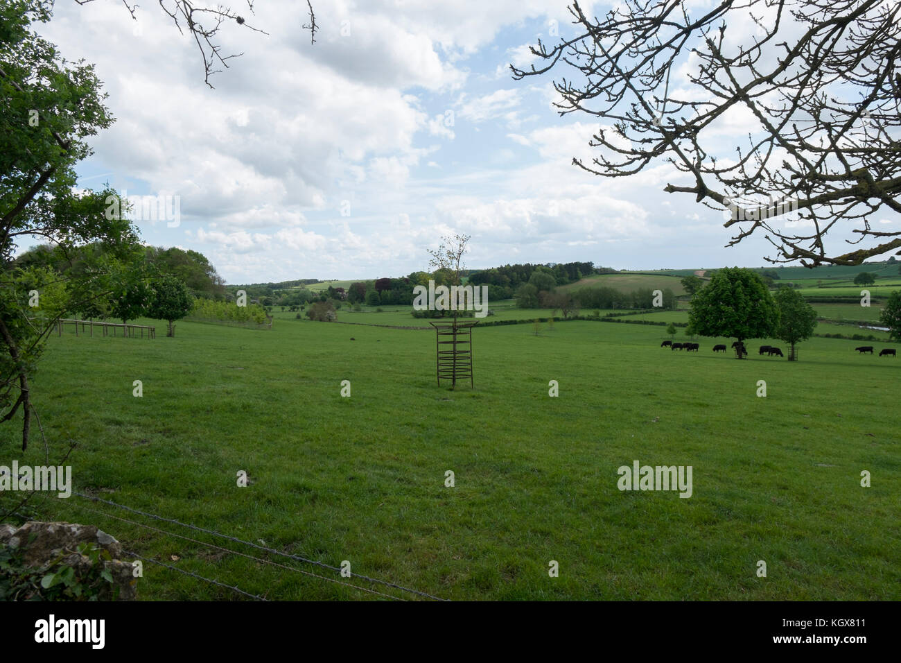 Countryside along Swin Lane between Swinbrook and Asthall, Oxfordshire ...