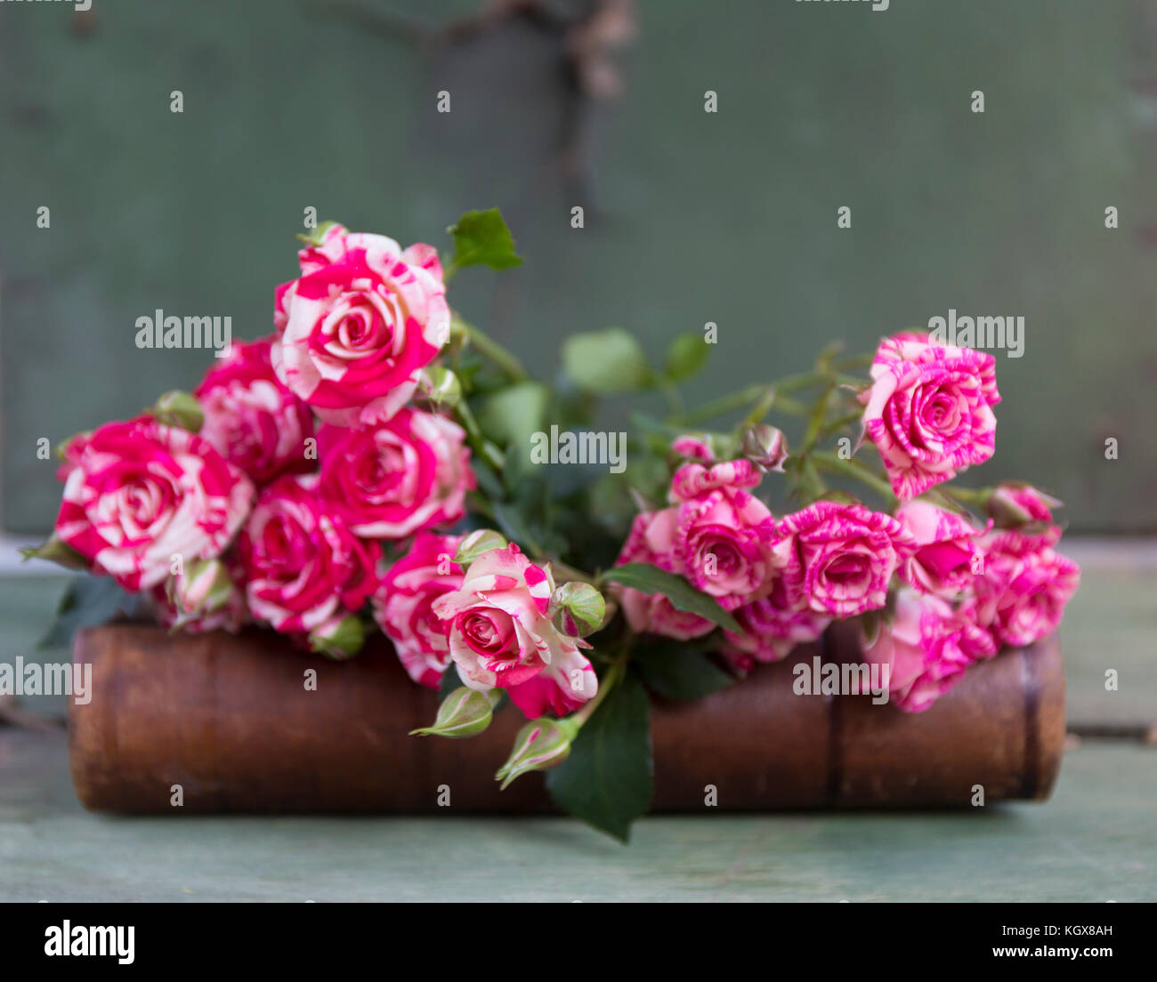 Vintage notebook mock up for artwork with pink roses. Place for text ...