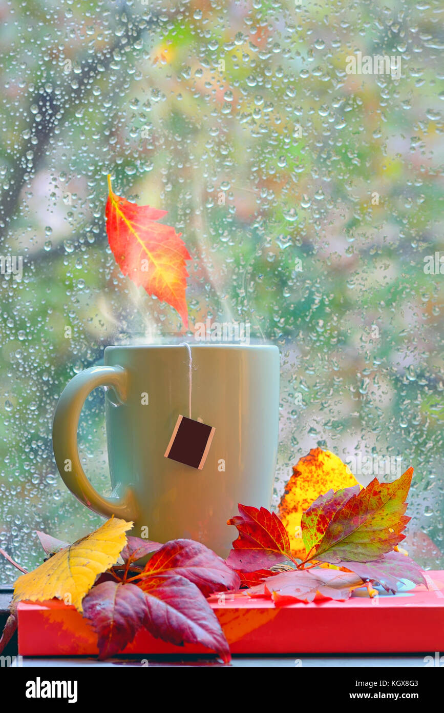 Autumn rainy window hi-res stock photography and images - Alamy