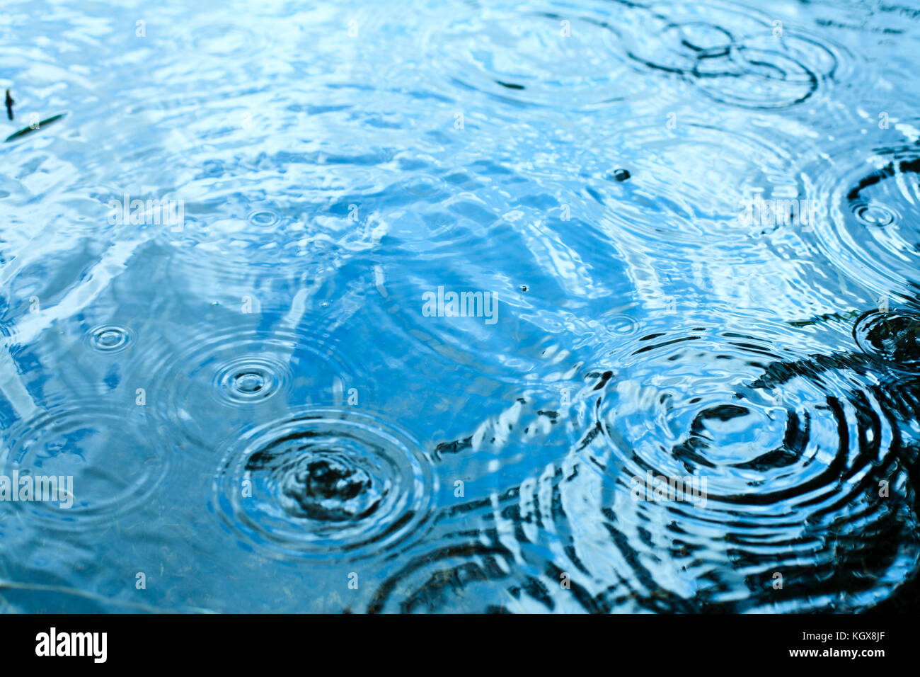 Raindrop In A Puddle Of Water Stock Photos & Raindrop In A Puddle Of ...