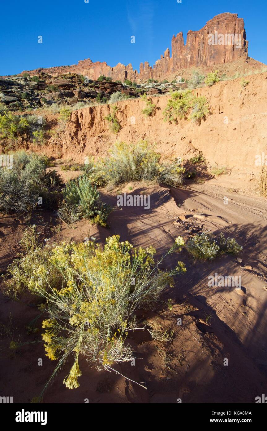rocky cliff in the area known as Indian Creek, near Canyonlands, Moab ...