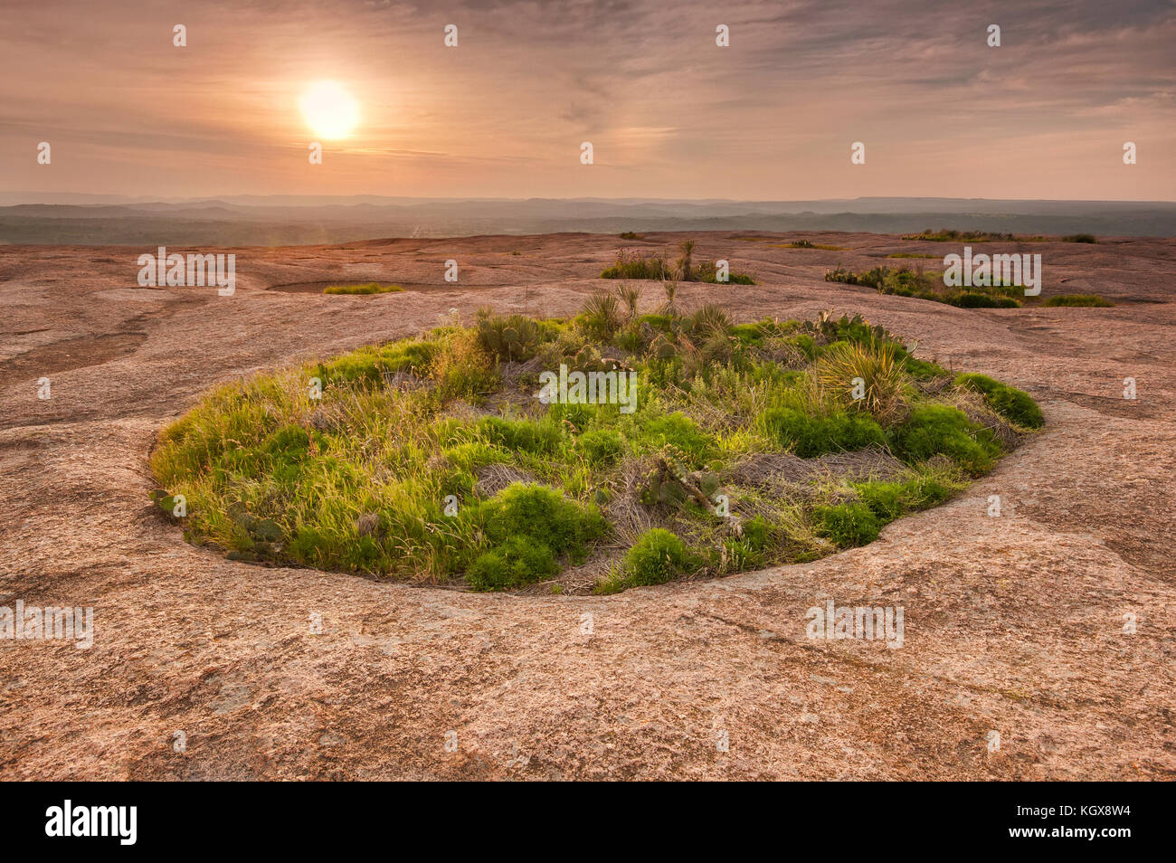 Vernal pool on top of pink granite dome at sunrise in Enchanted Rock ...