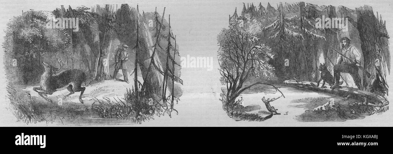 Death jump hi-res stock photography and images - Alamy