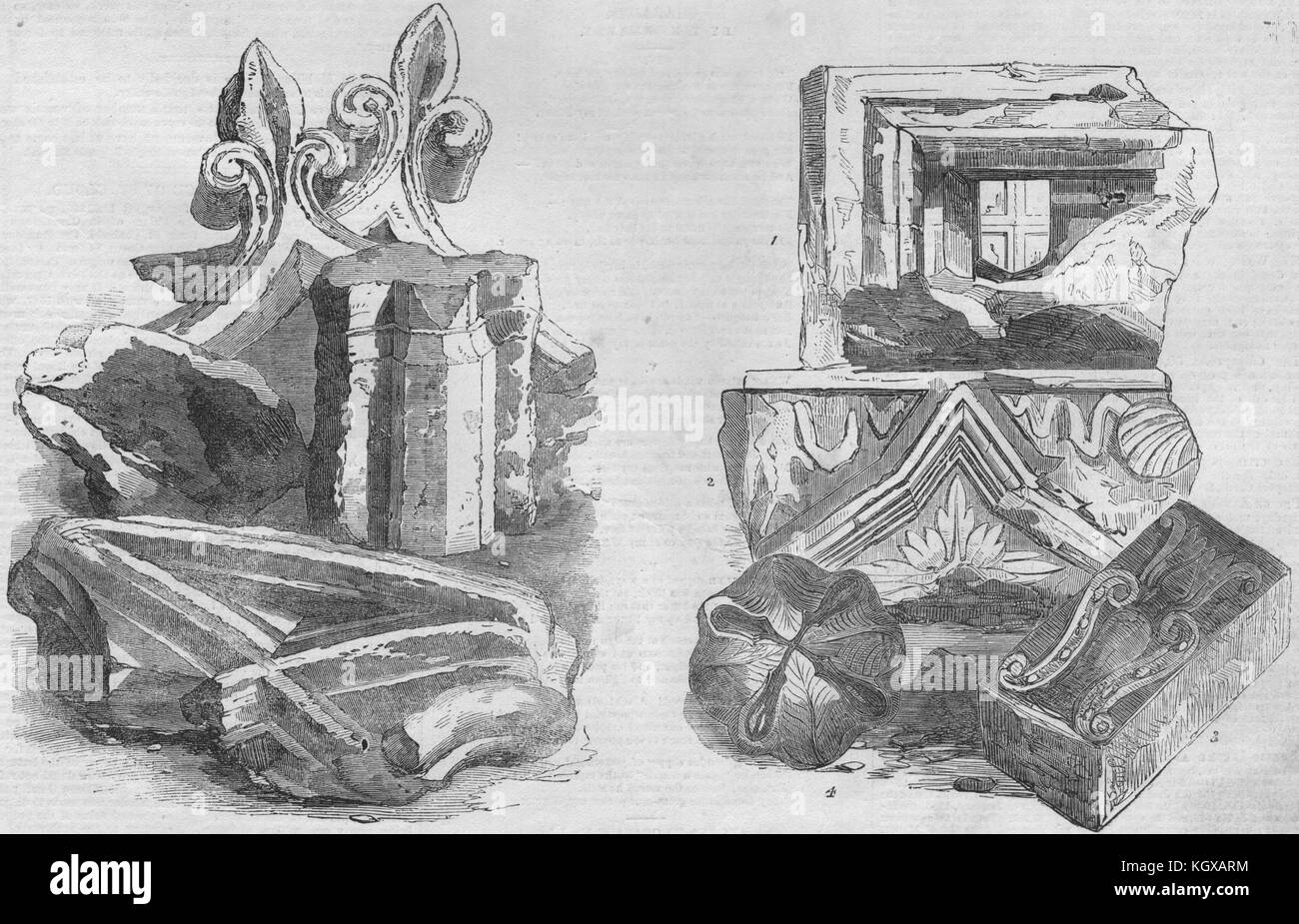 Preserved fragments Black and White Stock Photos & Images - Alamy