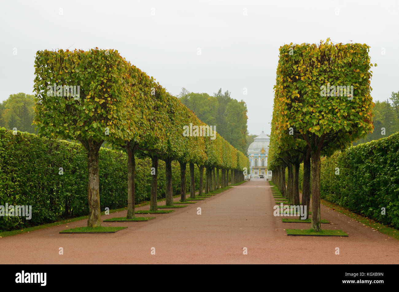 Manicured trees and smooth lawns in the Park Stock Photo - Alamy
