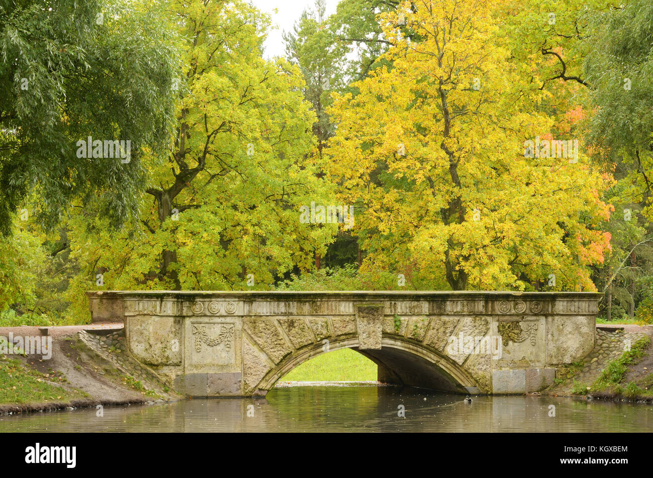 Stone bridge across the river on a background of trees with yellow ...