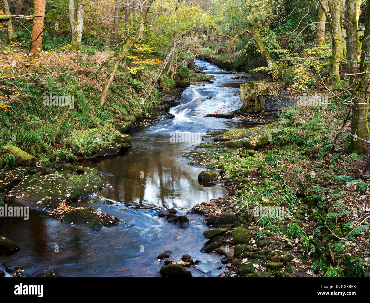 Crimsworth dean beck river hi-res stock photography and images - Alamy