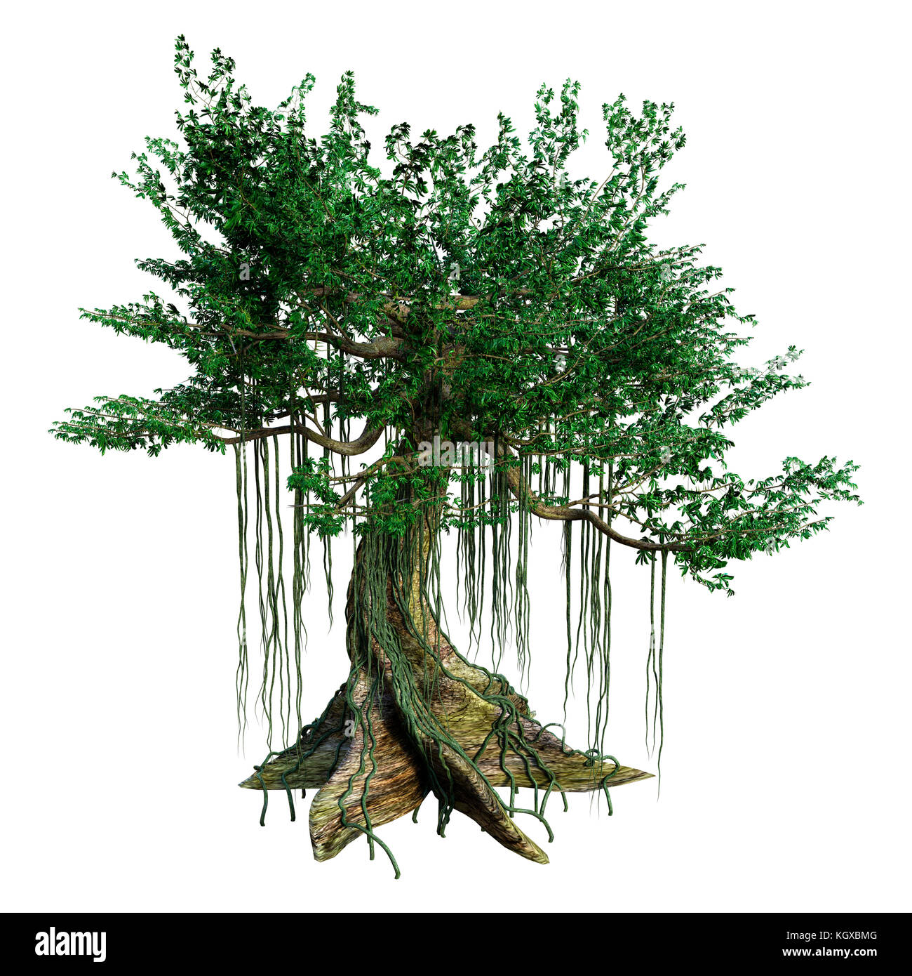 Kapok tree Cut Out Stock Images & Pictures - Alamy