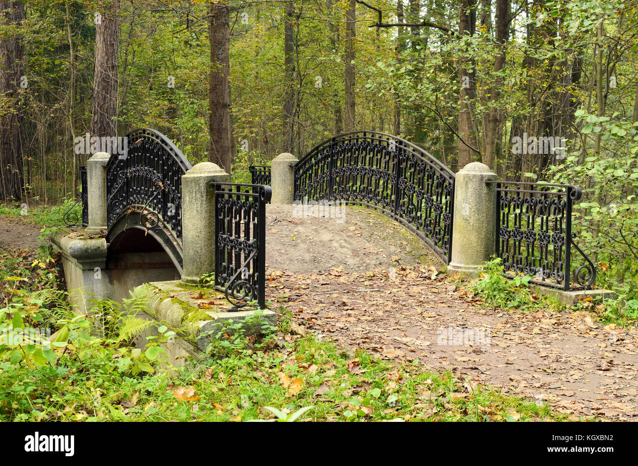 Colorful bridge in the woods.It connects the banks through the ravine ...