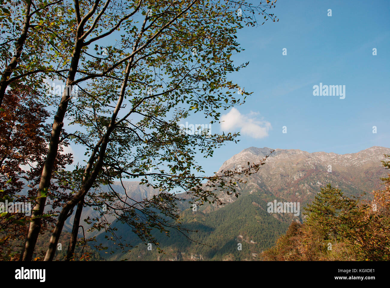 Europeean alps hi-res stock photography and images - Alamy