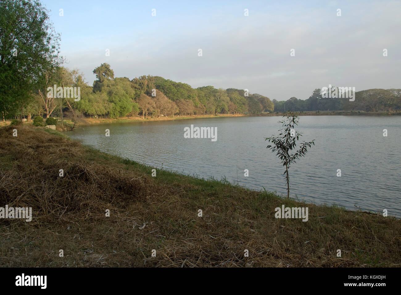 Tank bund hi-res stock photography and images - Alamy