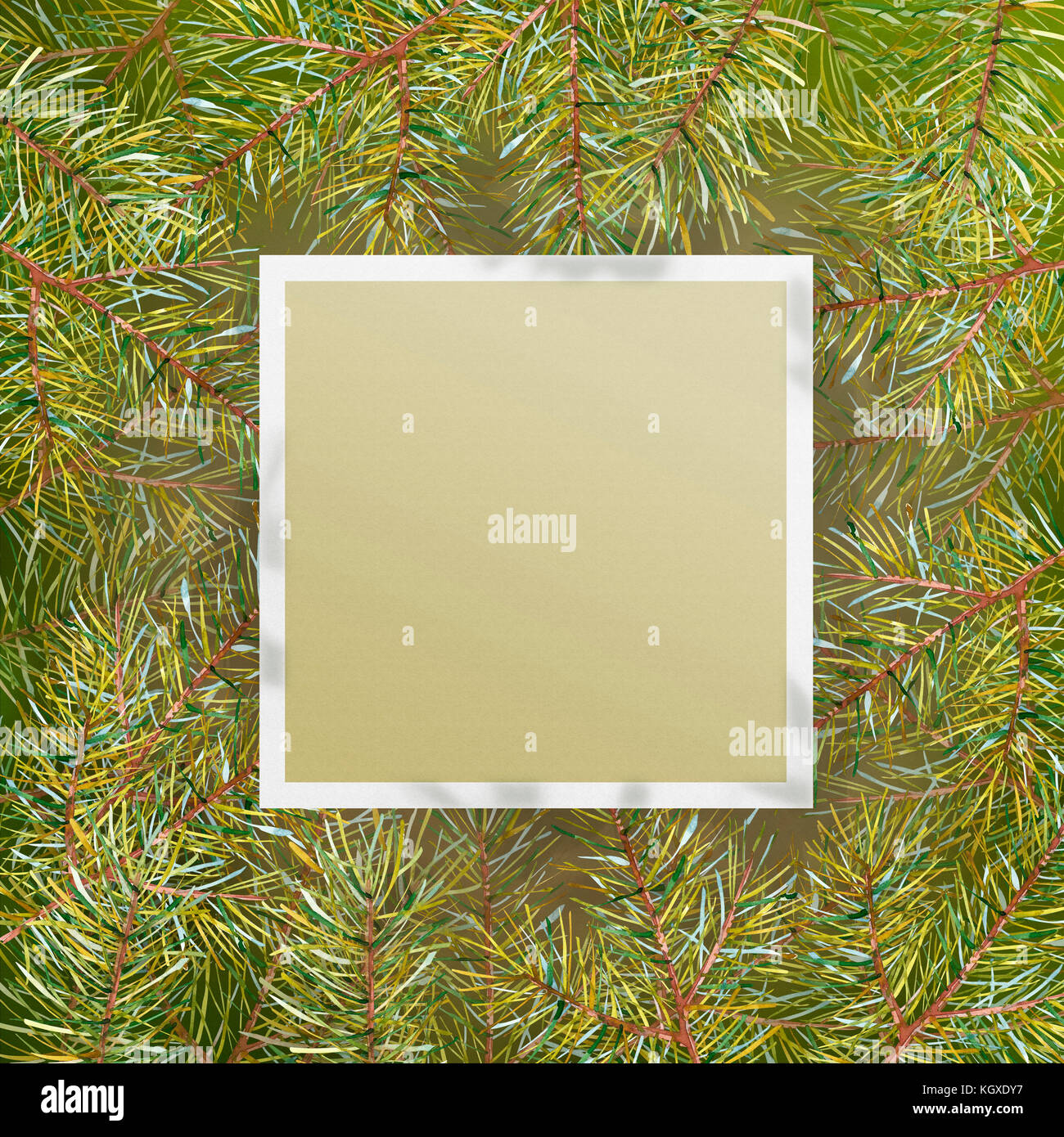 Christmas background with xmas tree on white paper background ...