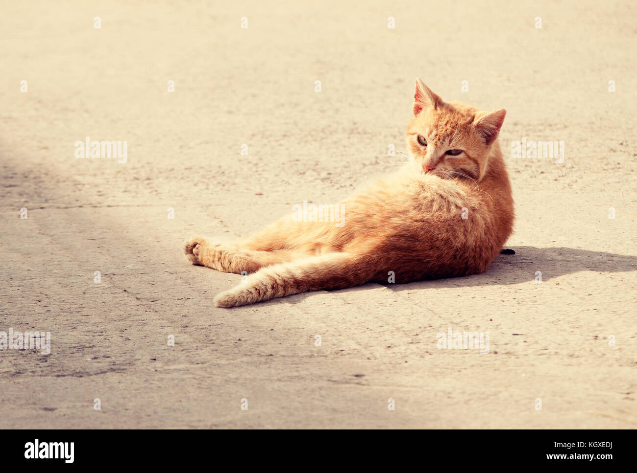 Outdoors sunbathing hi-res stock photography and images - Alamy
