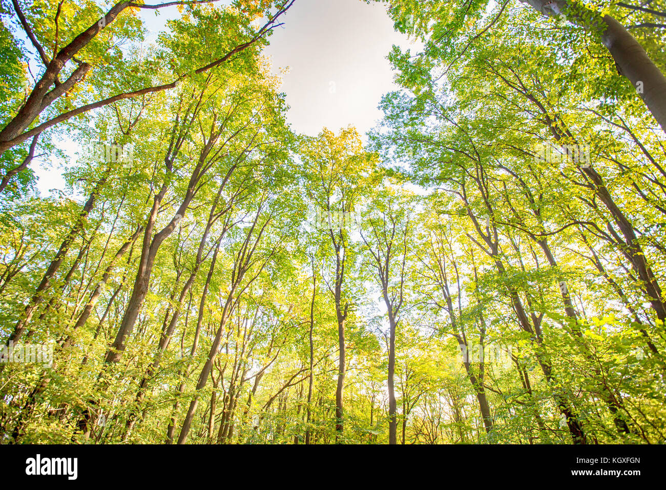 Take A Deep Breath Stock Photos & Take A Deep Breath Stock Images - Alamy