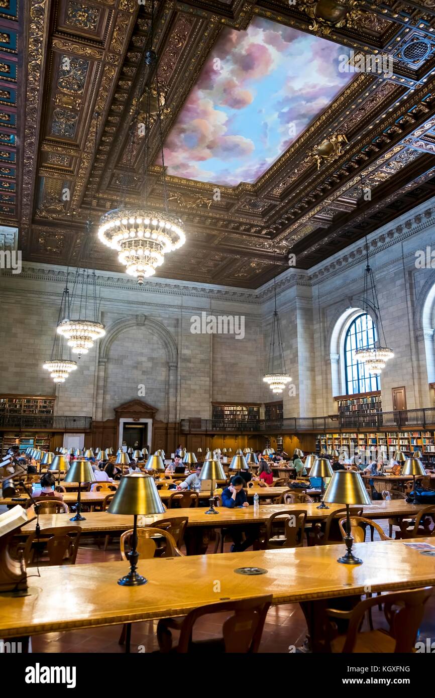 Professional library hi-res stock photography and images - Alamy