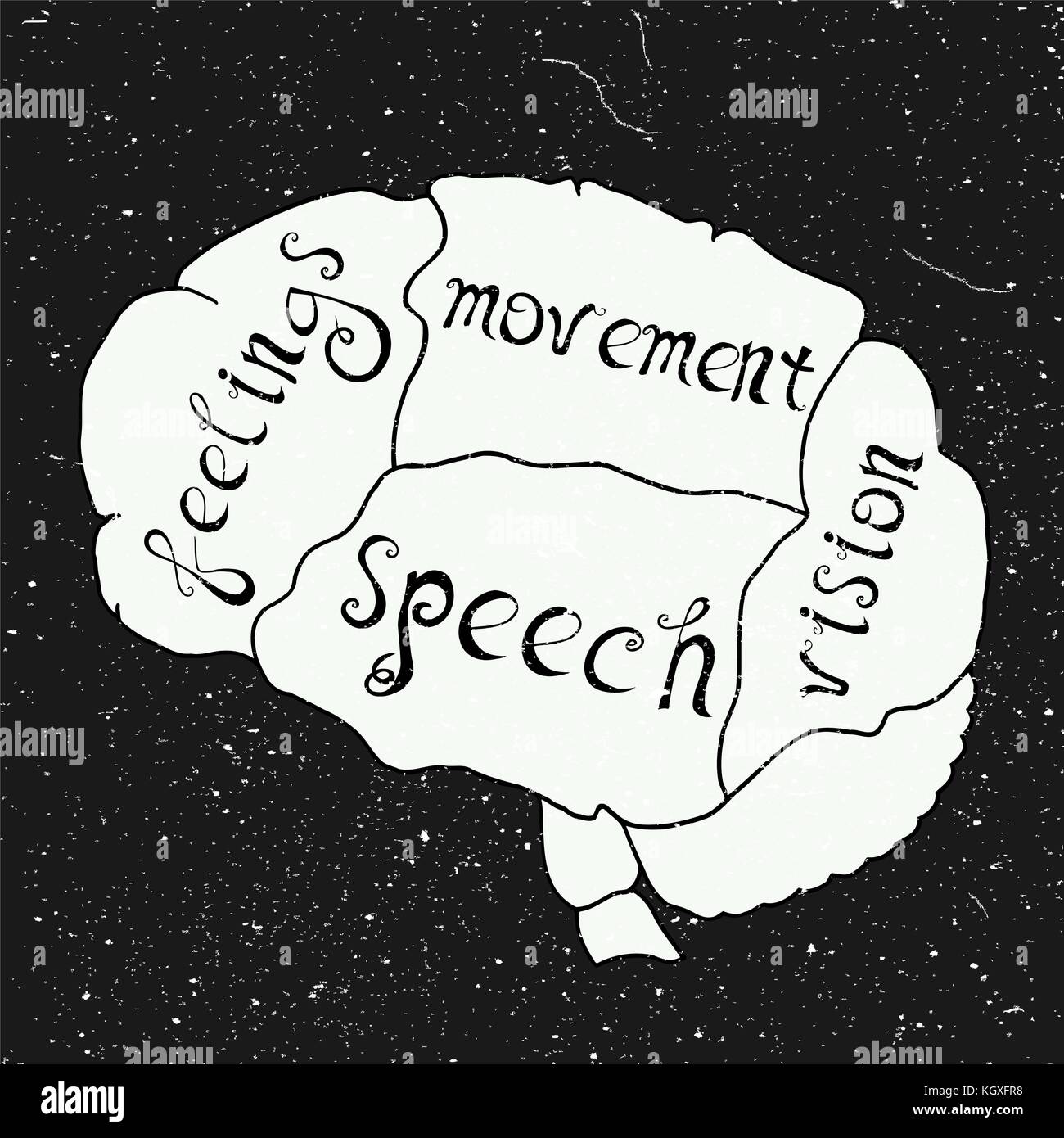 Parts of the human brain are responsible for feelings, speech, movement ...