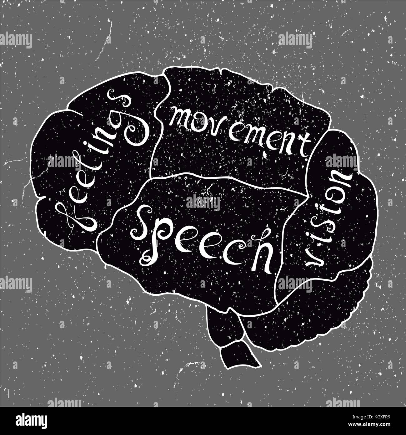 Parts of the human brain are responsible for feelings, speech, movement ...