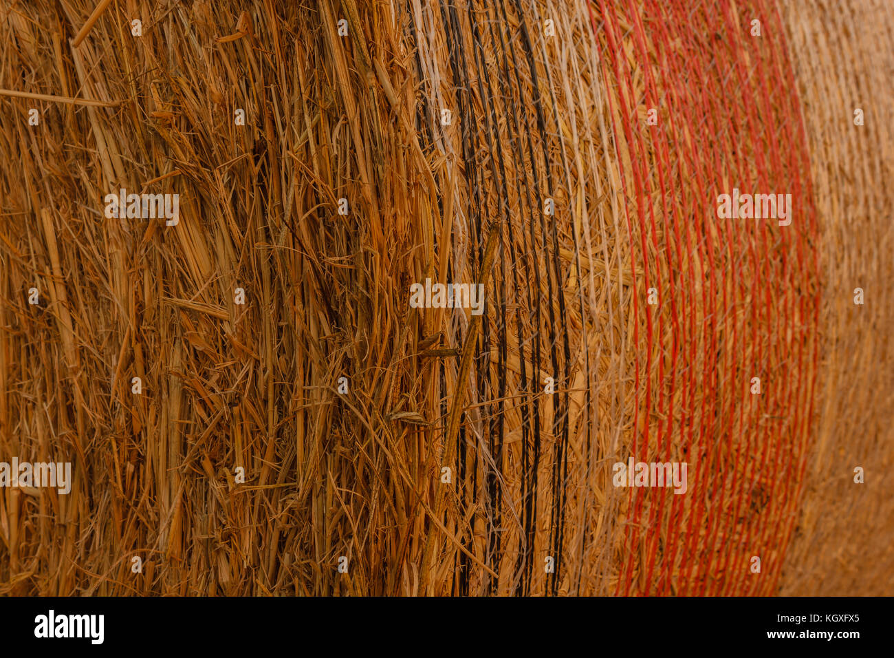 pattern of a cylindrical hay bale packed in colored nets /close-up of a ...