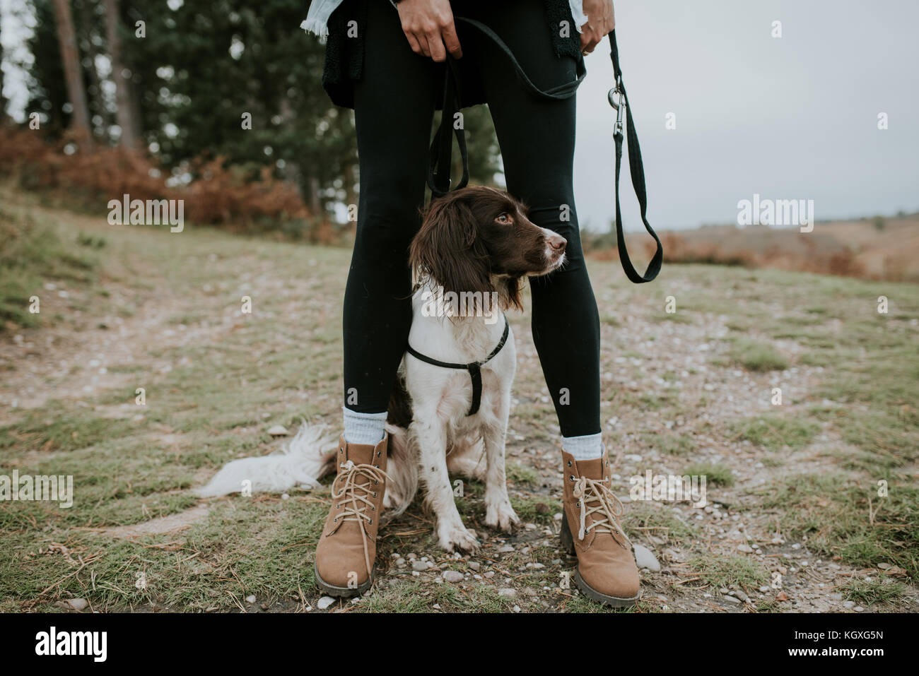 Dog and owner Stock Photo - Alamy