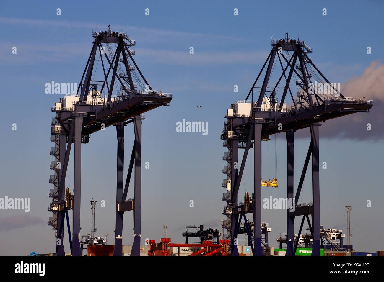 Trinity container terminal hi-res stock photography and images - Alamy