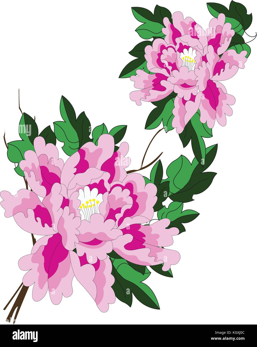 Peonies spring bouquet Stock Vector Images - Alamy